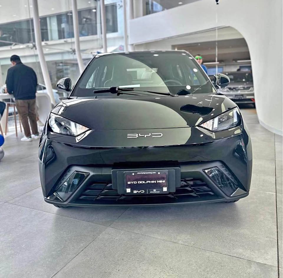 Byd Mini Dolphin | BYD Iztacalco - LGXCE4CC8S0059248